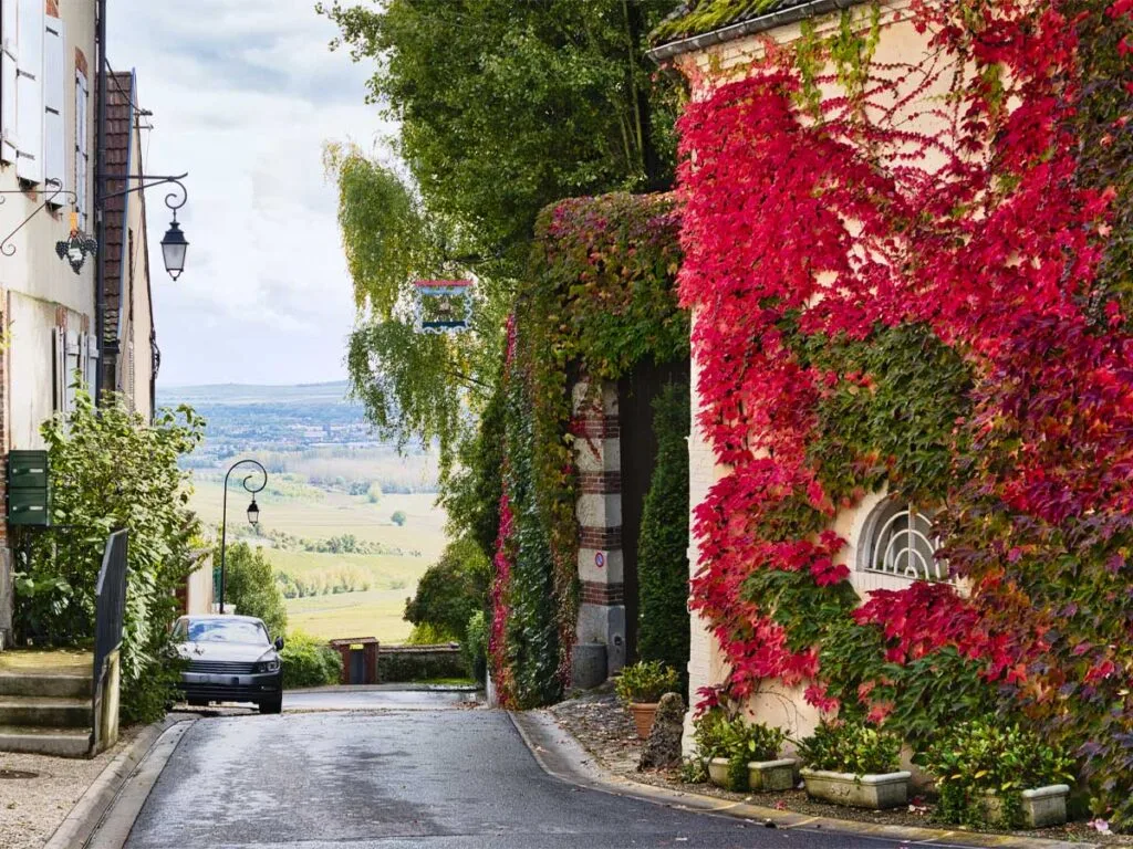 Explore Champagne region, our tips for visiting the region