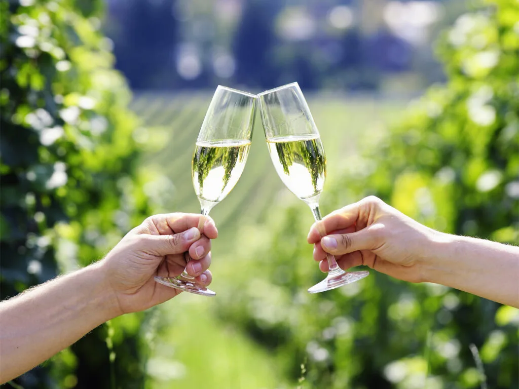 Explore Champagne region, our tips for visiting the region